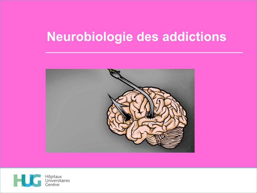 Neurobiologie des addictions - ADDICTOHUG